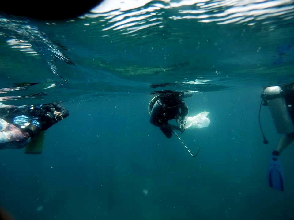 poseiden PADI dive centre sri lanka Hikkaduwa Trincomalee Trinco ...